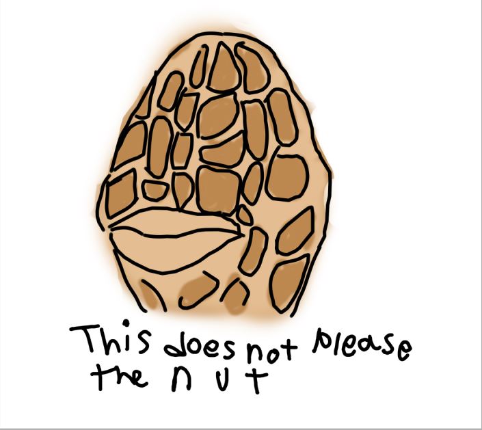 My Nut Is Not Very Pleased By Yungoranj On Deviantart