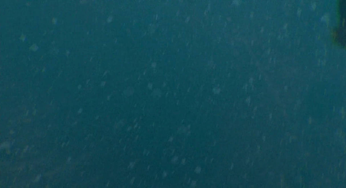 Surf's Up underwater by Markendria2007 on DeviantArt Surf's Up underwater by Markendria2007 on DeviantArt