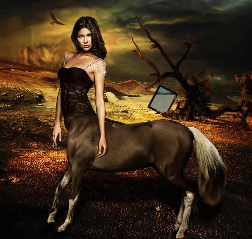 Female Centaur By Blackclouds88 On Deviantart