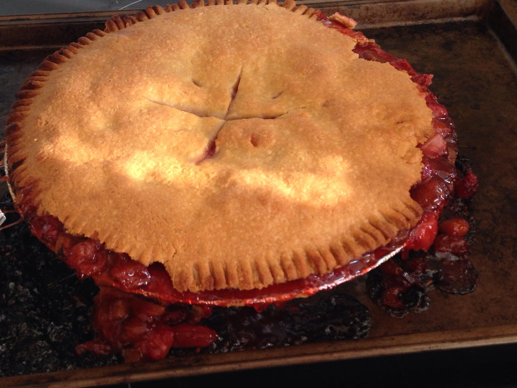 Tried To Bake A Pie By Ultraturtlegamer04 On DeviantArt tried-to-bake-a-pie-by-ultraturtlegamer04-on-deviantart