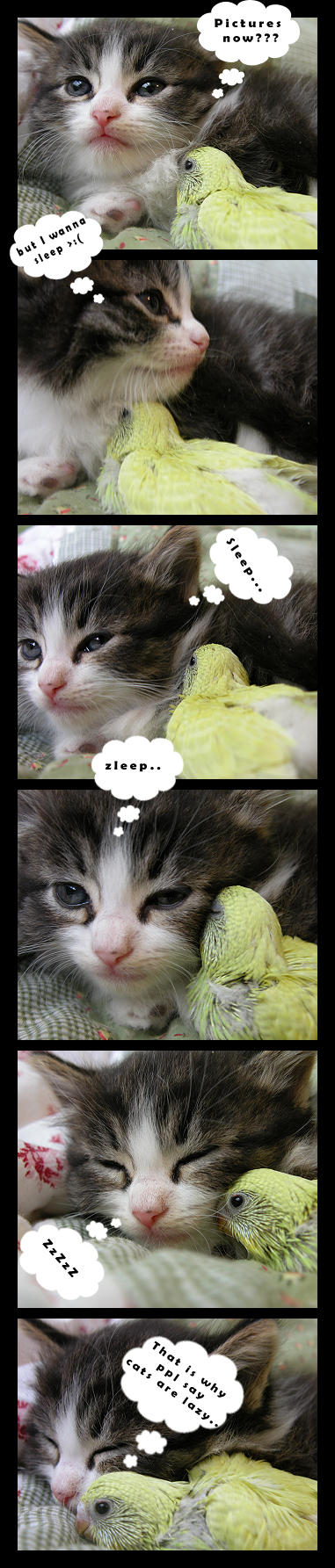 A cute tale by Karma021 on DeviantArt