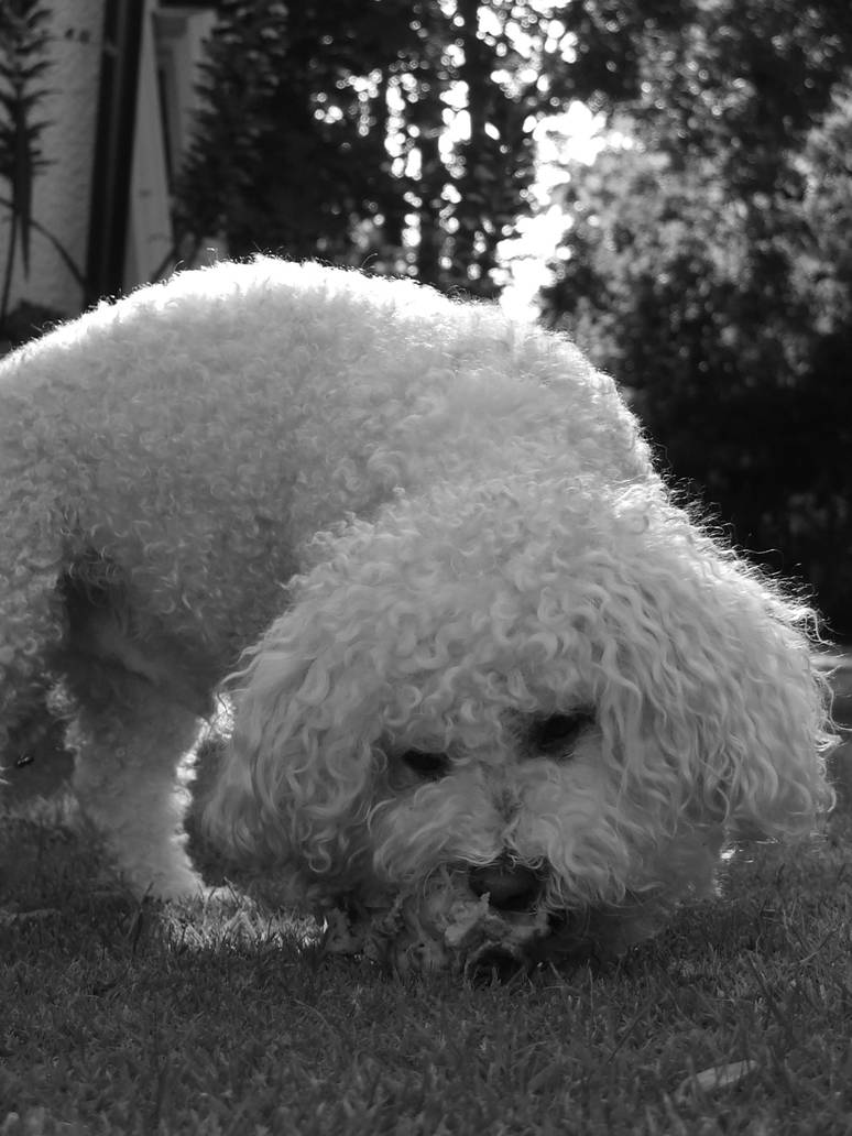 Barney dog by SouthSinaiSecrets on DeviantArt