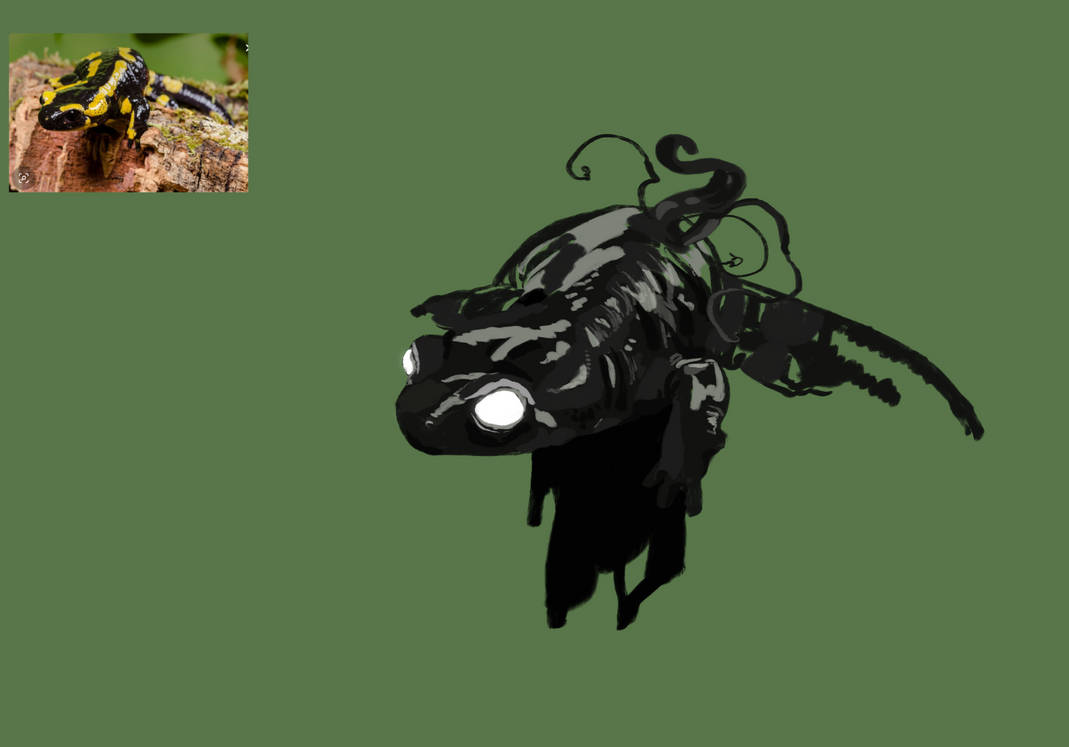 Salamander By Morf En On Deviantart