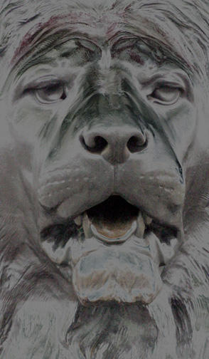 lion by neilsprite on DeviantArt
