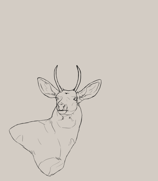 Mule Deer Wip By Elenoh On Deviantart