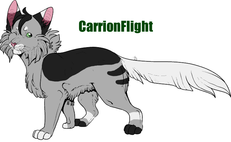 Free Long Haired Cat Lineart By Tybirius On Deviantart