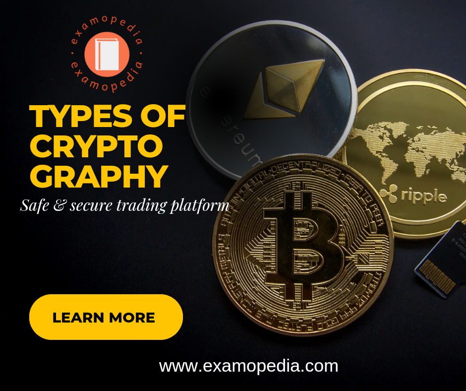 Cryptography Types: A Comprehensive Overview by EXAMOPEDIA on DeviantArt Cryptography Types: A Comprehensive Overview by EXAMOPEDIA on DeviantArt