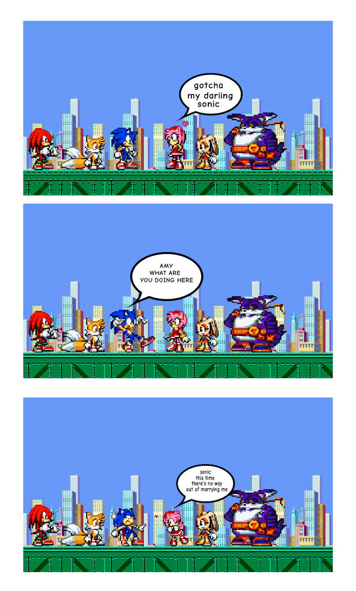 Team Sonic Vs Team Rose By Tailsfpsfangamerfox On Deviantart