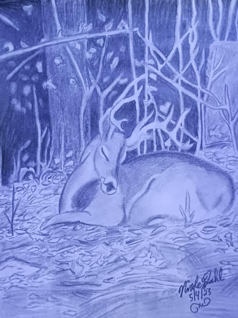 A Peaceful Sleeping Deer By Kathryndahl On Deviantart