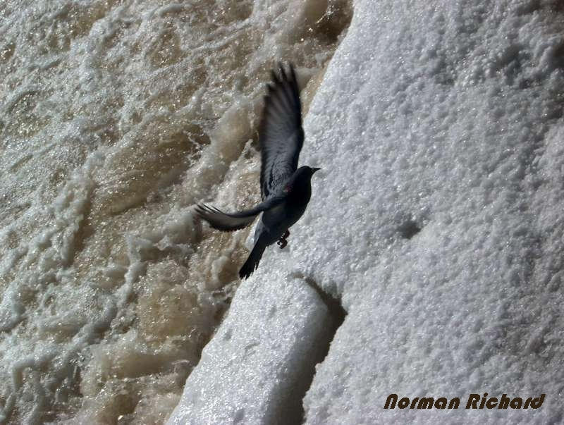 We Need More Power Scotty by ARTyZEN on DeviantArt