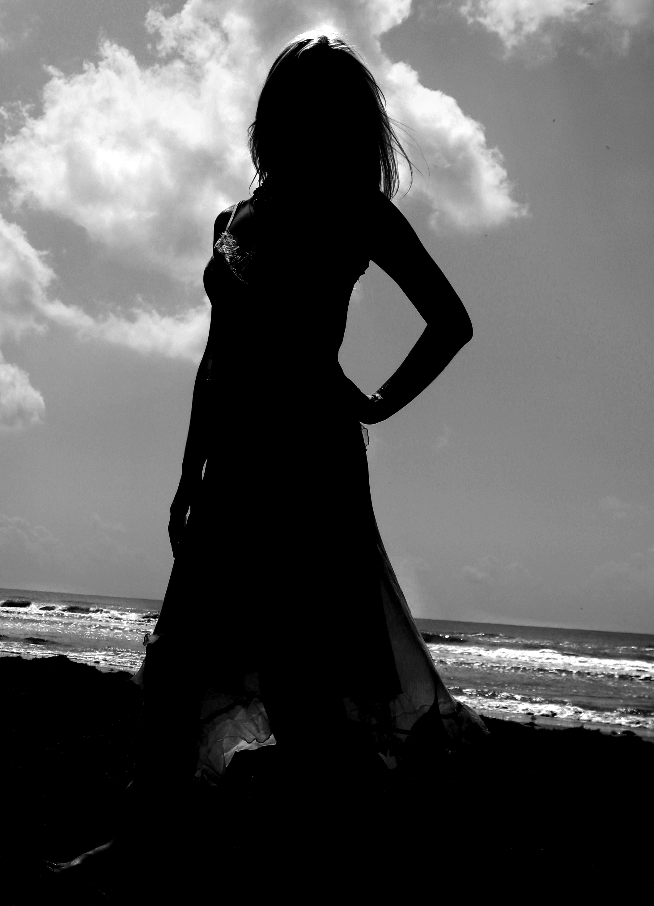 The Art of Silhouette by silhouette-art on DeviantArt