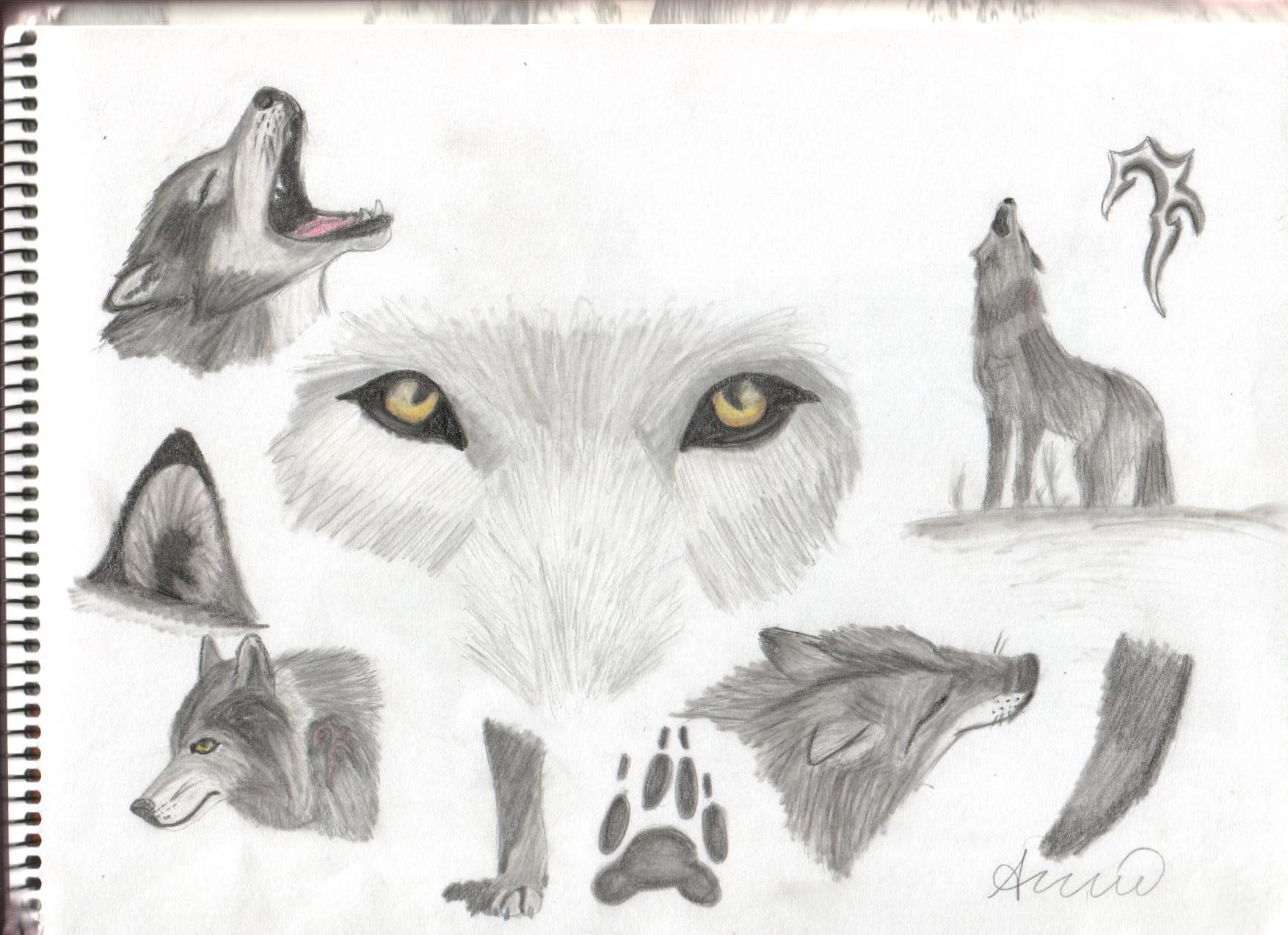 Wolves by Larka18 on DeviantArt