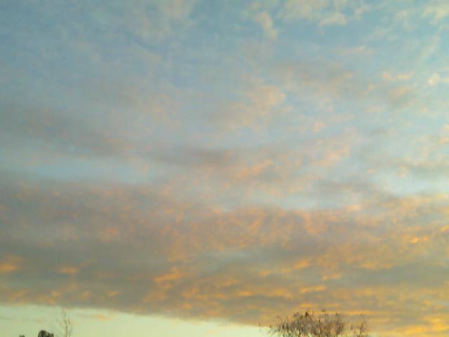 poison sky by ConcentricBeats on DeviantArt