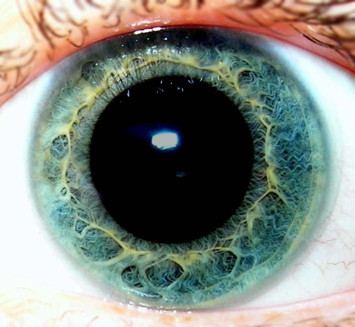 jeff's eye by foryoutoknowtice on DeviantArt