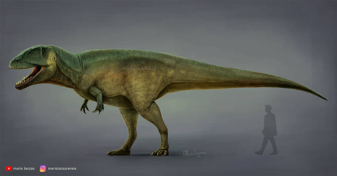 Explore the Best Carcharodontosaurus Art | DeviantArt Explore the Best Carcharodontosaurus Art | DeviantArt
