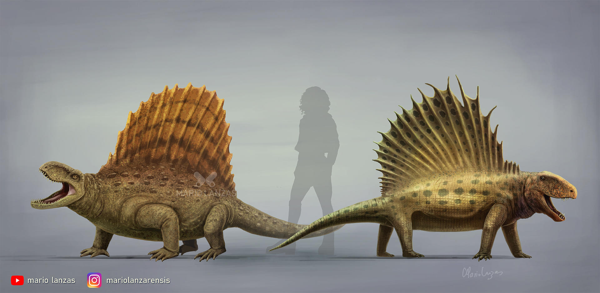 Dimetrodon by MarioLanzas on DeviantArt Dimetrodon by MarioLanzas on DeviantArt