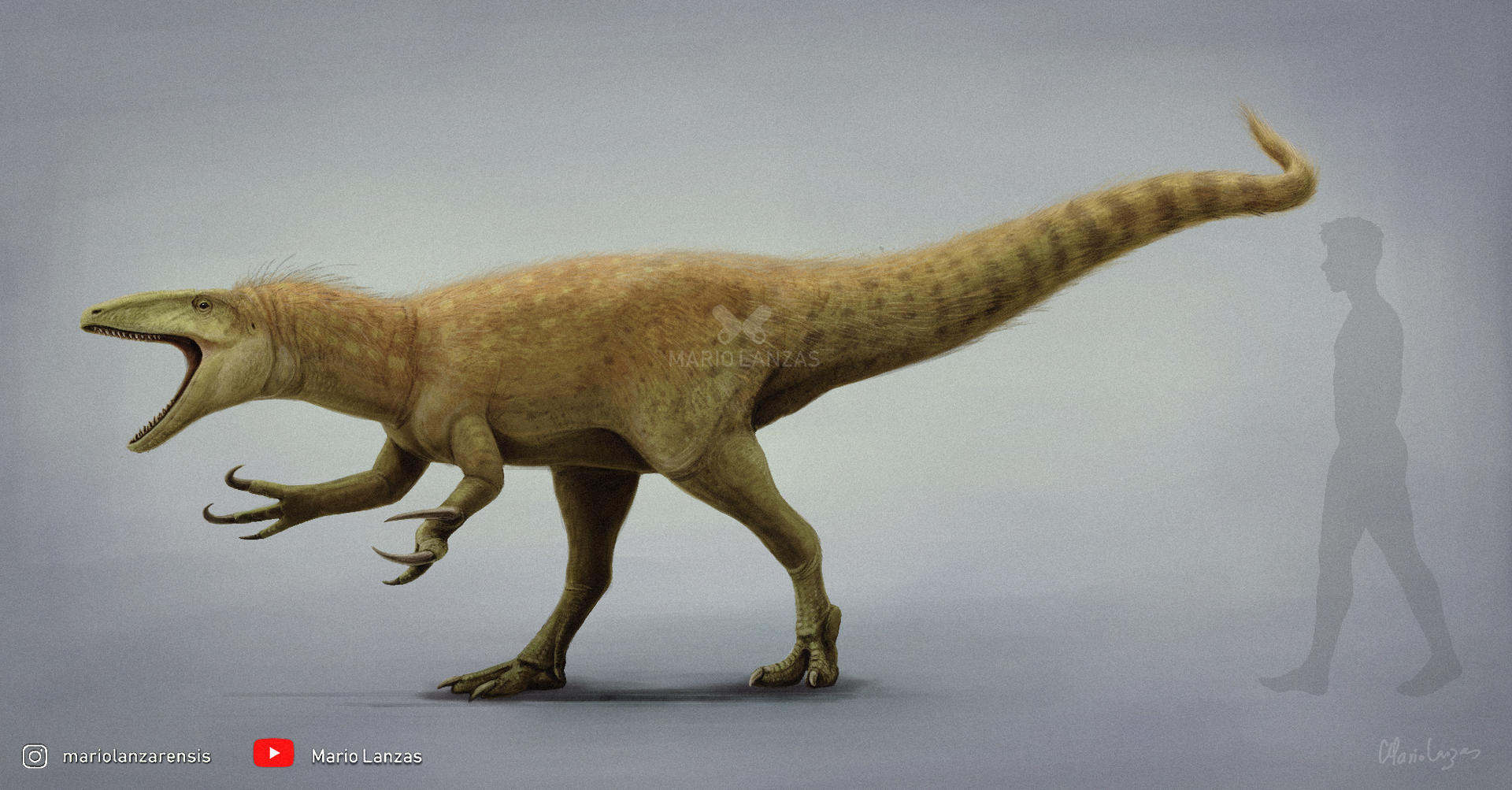 Australovenator By MarioLanzas On DeviantArt australovenator-by-mariolanzas-on-deviantart