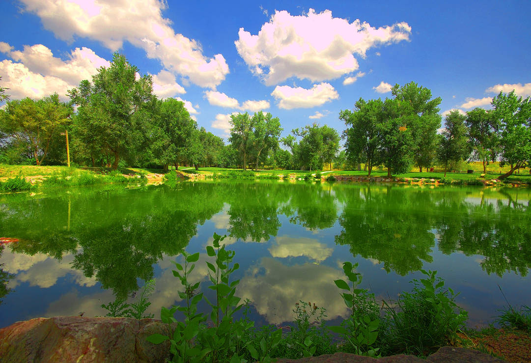 Fountain Valley Pond by greenunderground on DeviantArt