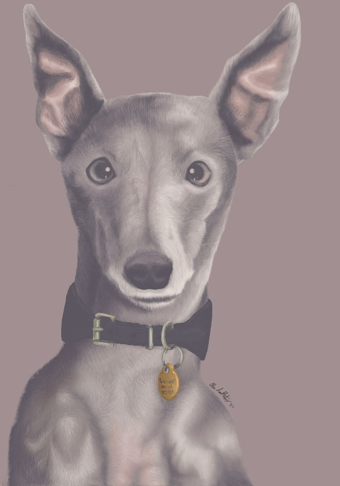 Willy Whippet by Dragonite1 on DeviantArt