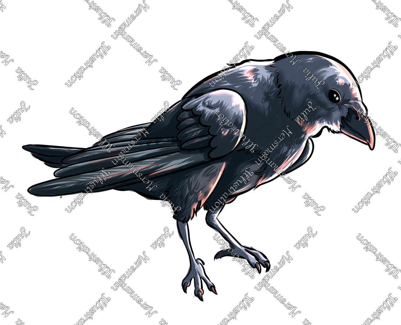 Raven By Juliamersmann On Deviantart