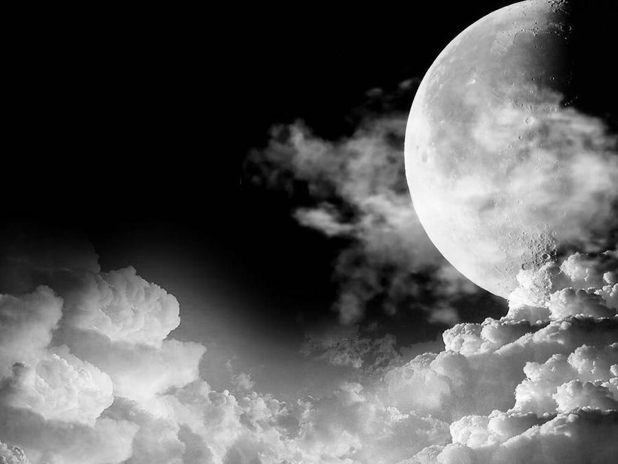 Midnight Bliss By DivineConcepts On DeviantArt midnight-bliss-by-divineconcepts-on-deviantart