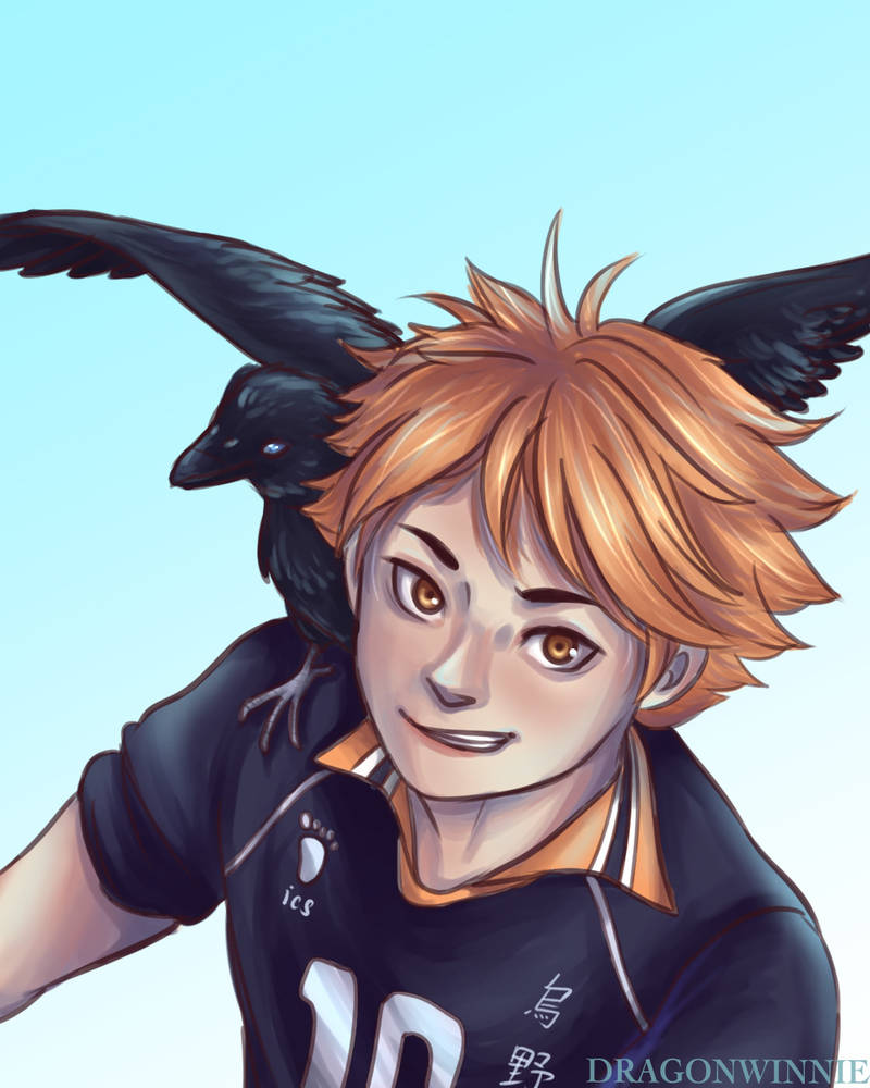 Hinata Shoyo By Dragonwinnie On Deviantart