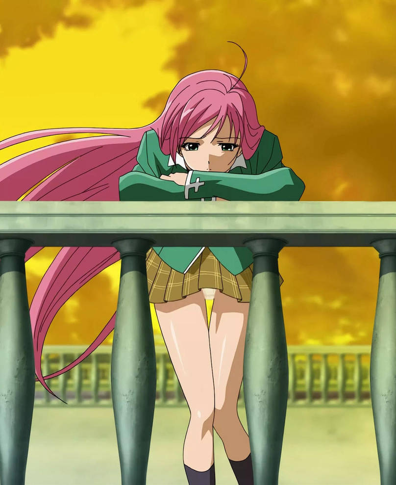 Rosariovampire Stitch Moka Akashiya 06 By Anime4799 On Deviantart