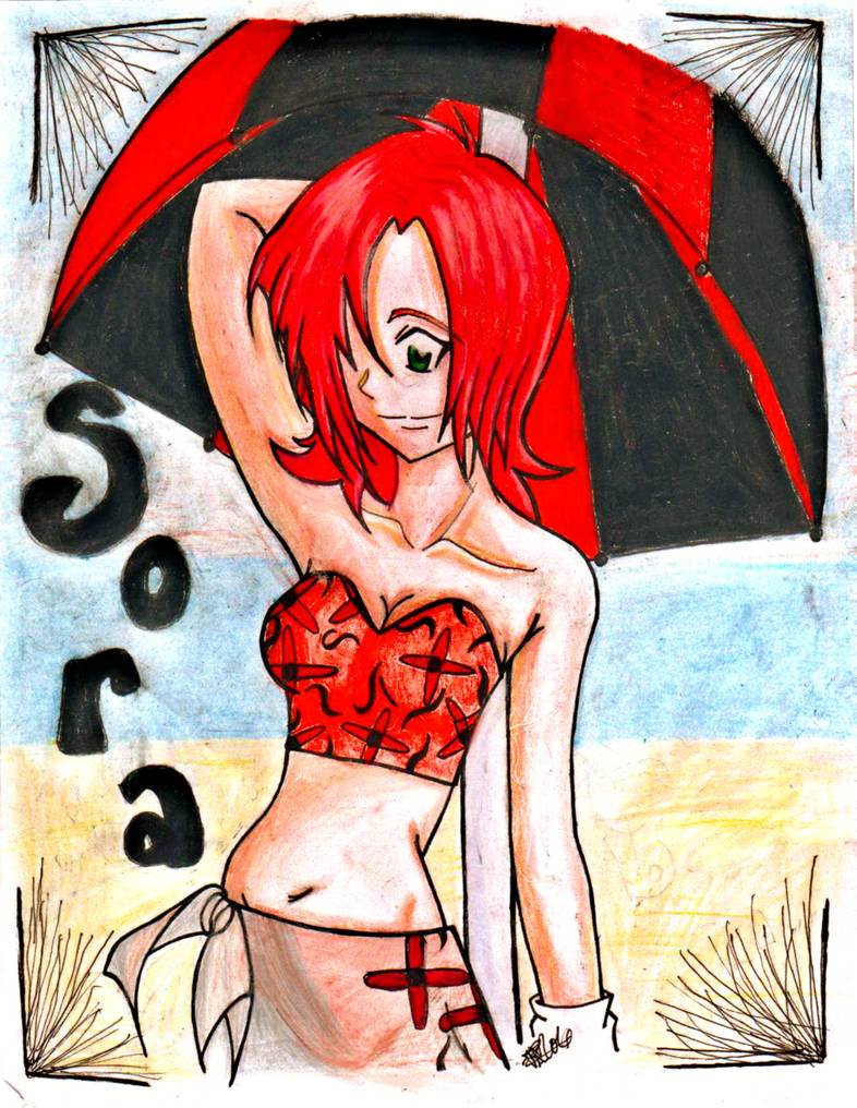 The Robin At The Beach By Smilebomb On Deviantart