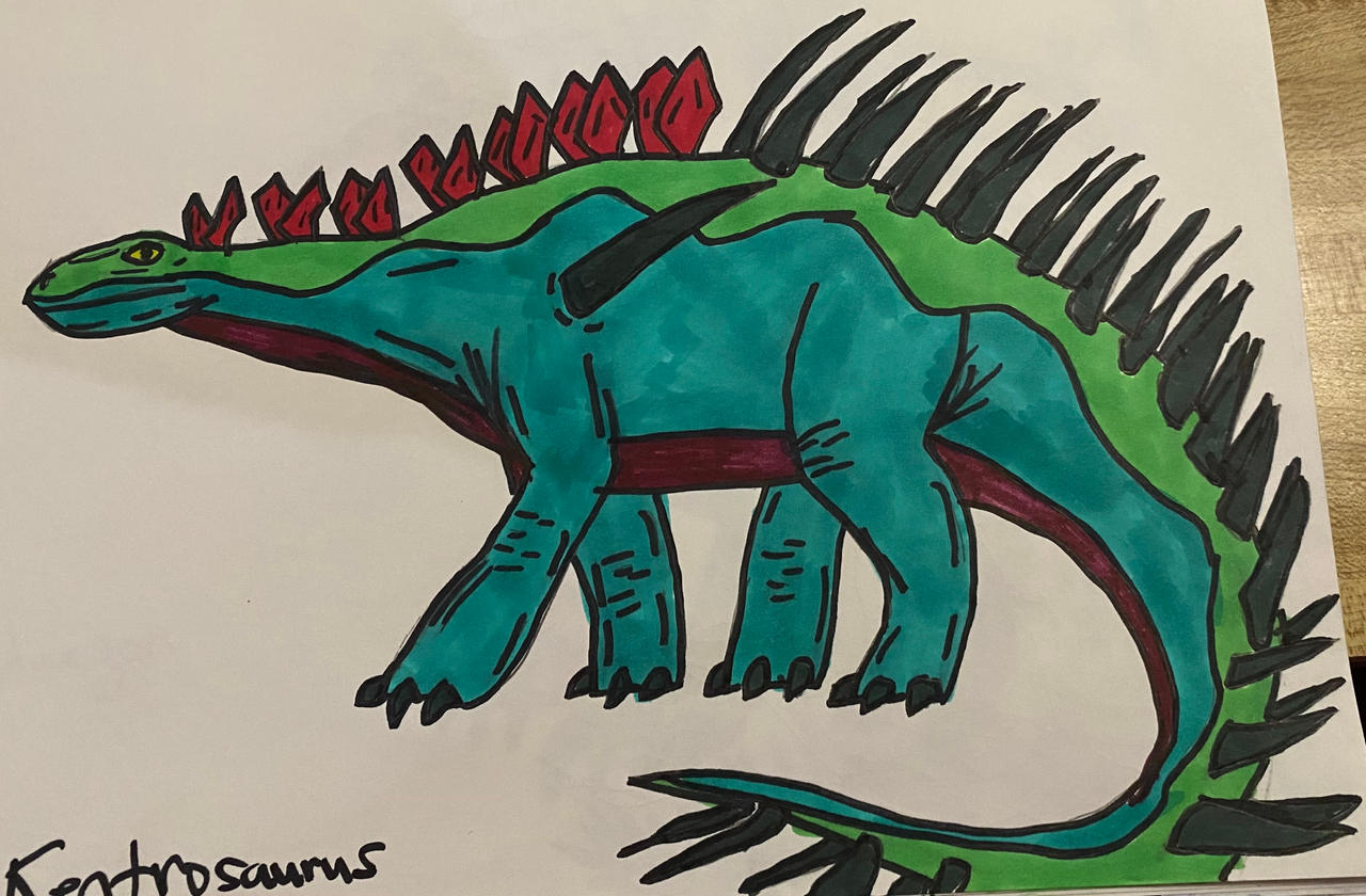 Kentrosaurus By Jurassicwarrior451 On Deviantart