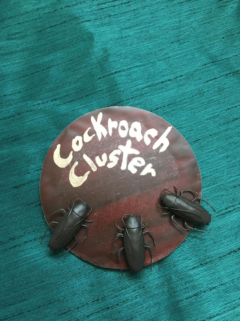 Cockroach Cluster By Serenavaldettaro On Deviantart