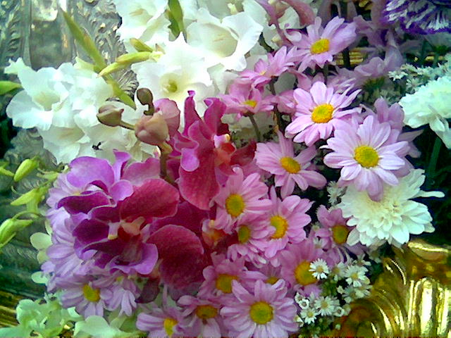 carozza flowers 2 by keanevincent on DeviantArt