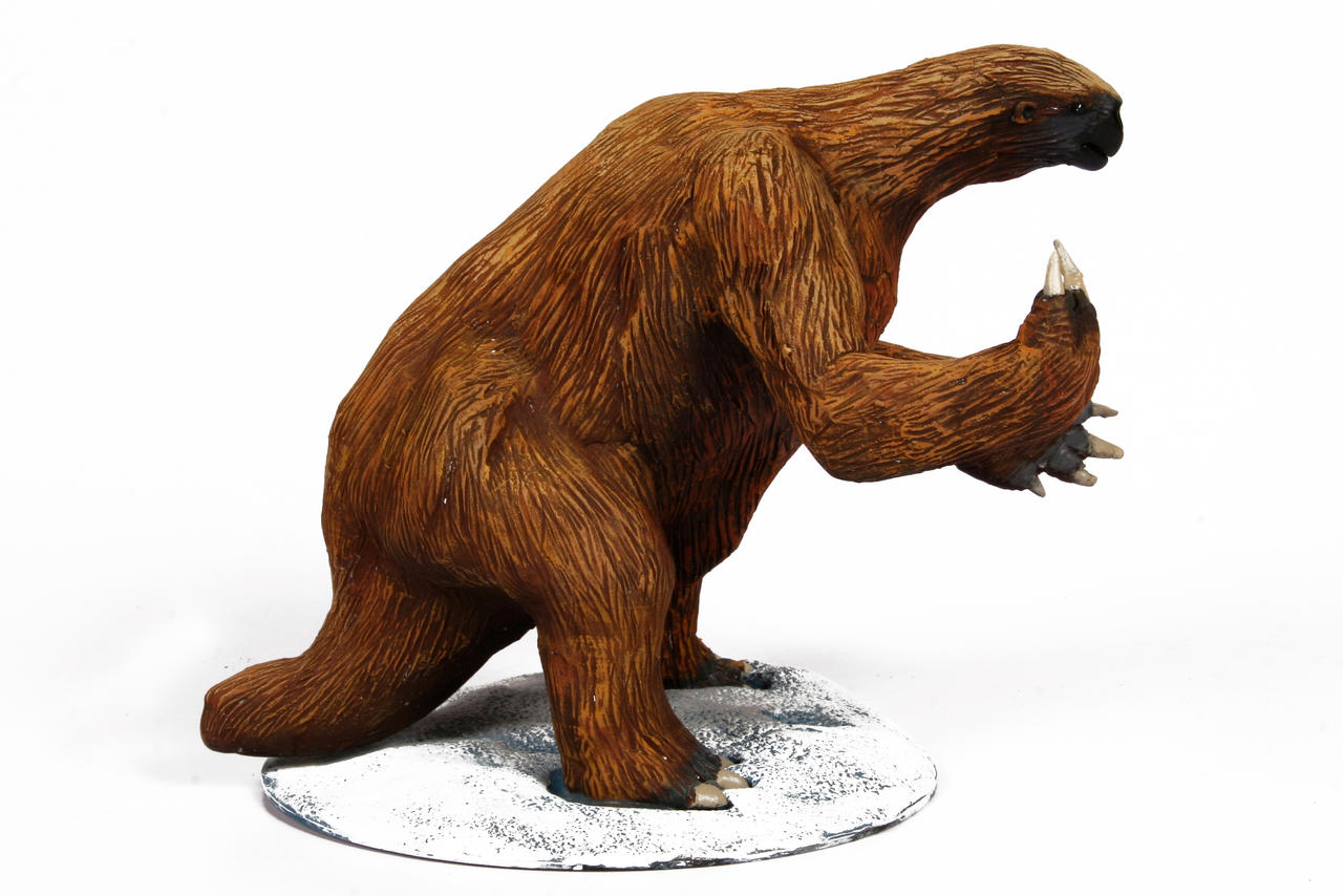Megalonyx By Museografoclamont On Deviantart