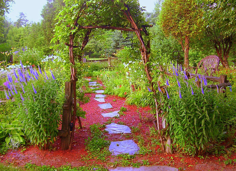 Garden Walk IV by dendrology on DeviantArt