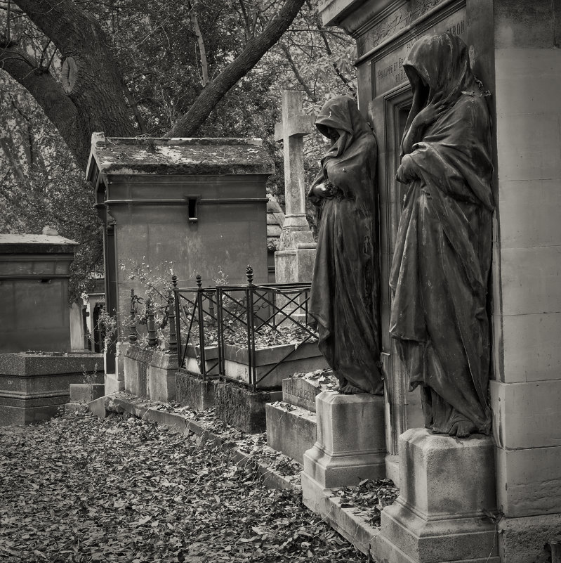 Veiled Widows by madvax on DeviantArt