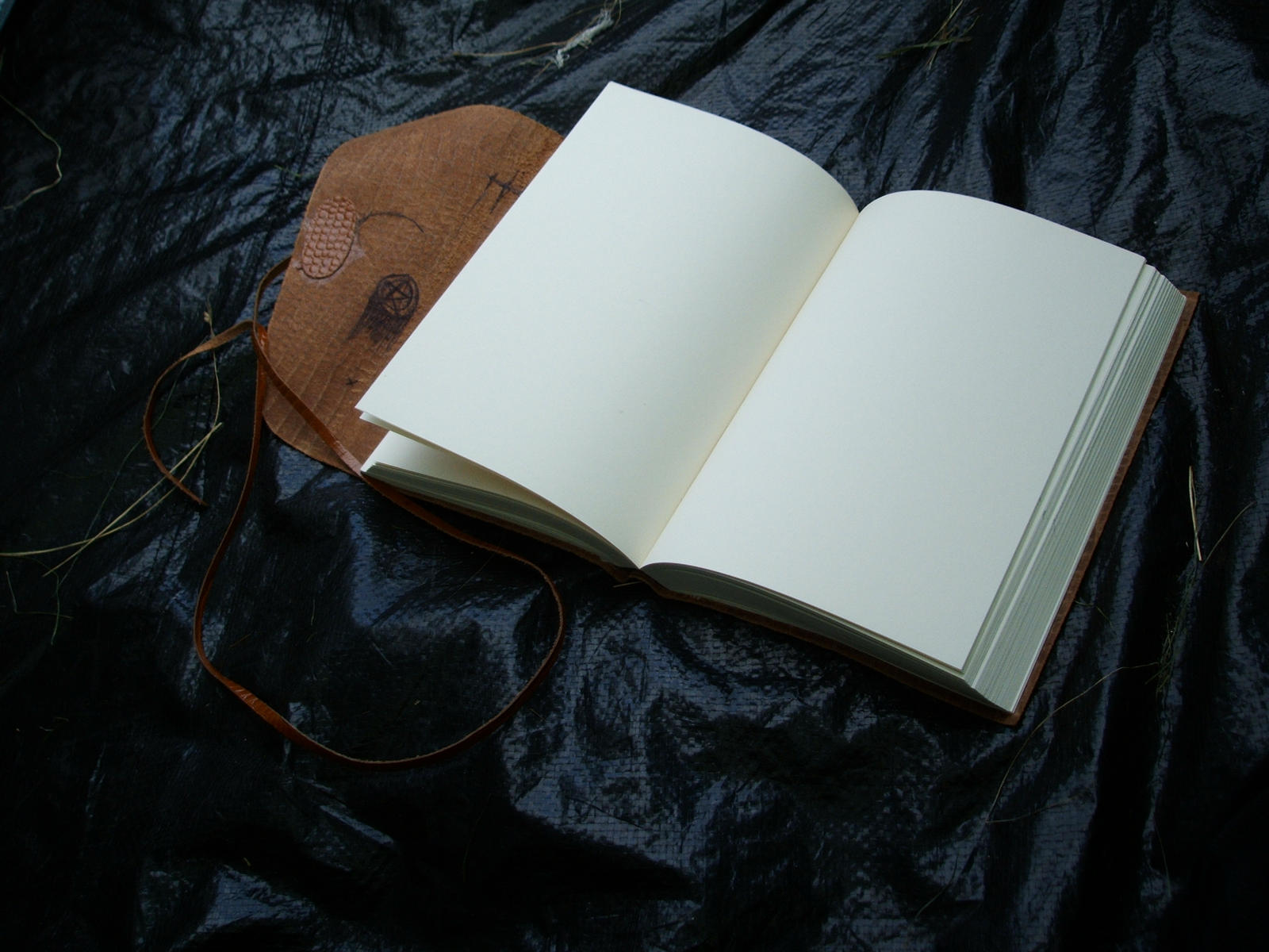 Open Book2 by SightlessStock on DeviantArt