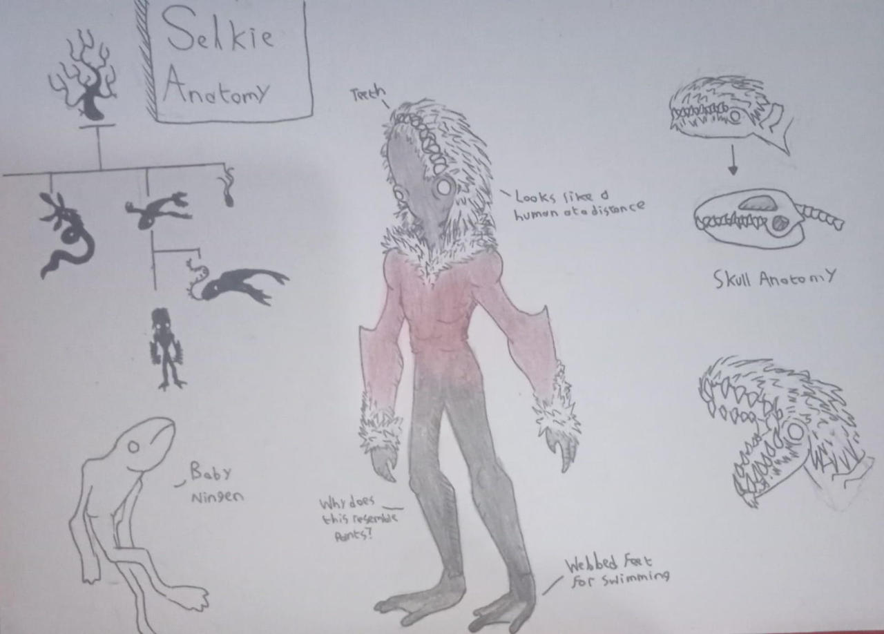 Vita Carnis | Selkie (Amudsen Carnis) by NPCArte on DeviantArt Vita Carnis | Selkie (Amudsen Carnis) by NPCArte on DeviantArt