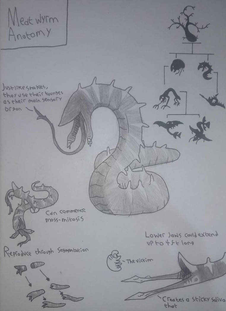 Vita Carnis | Meatwyrm (Diduco carnis) by NPCArte on DeviantArt Vita Carnis | Meatwyrm (Diduco carnis) by NPCArte on DeviantArt