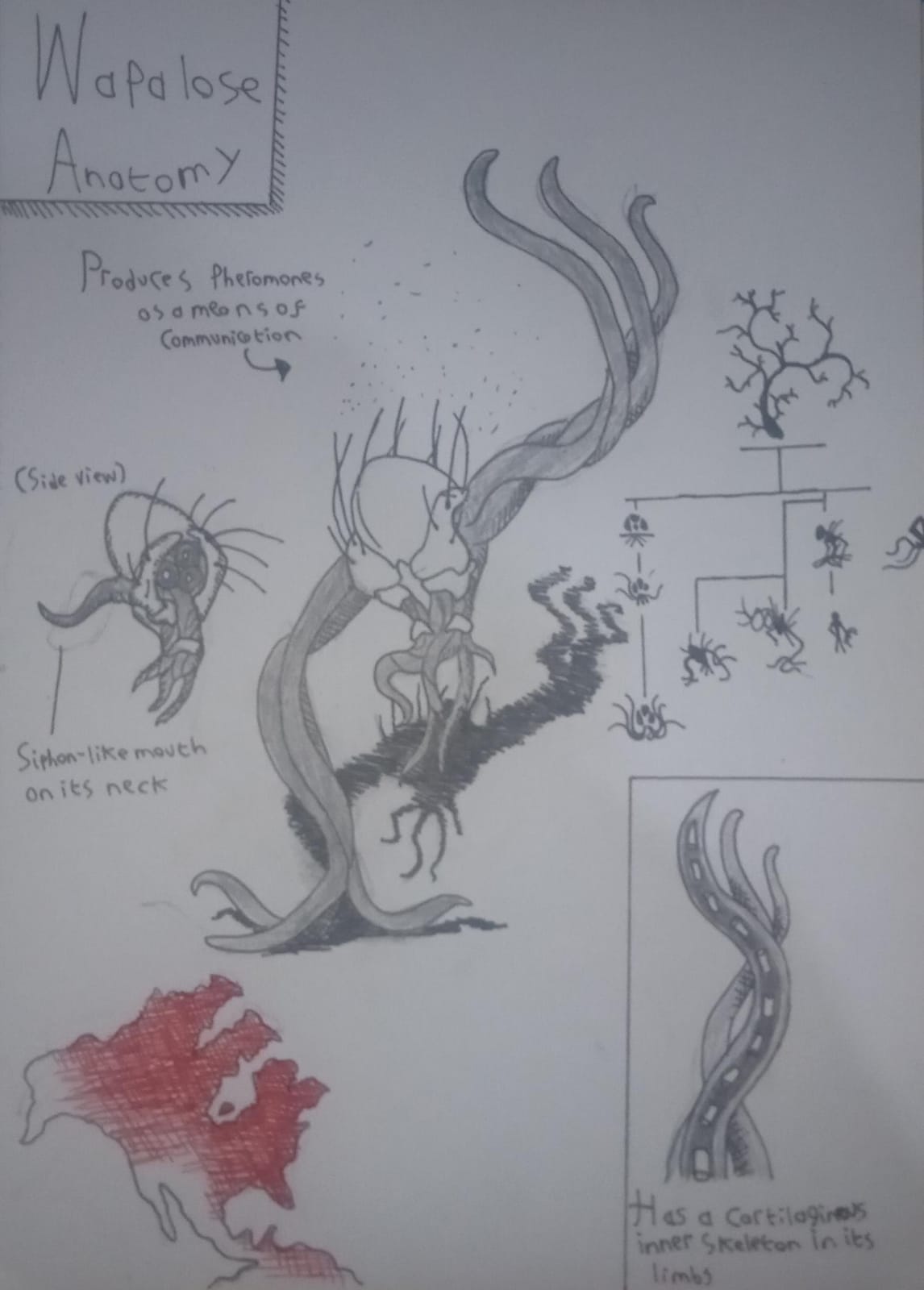 Vita Carnis | Wapalose (Corda carnis) by NPCArte on DeviantArt Vita Carnis | Wapalose (Corda carnis) by NPCArte on DeviantArt