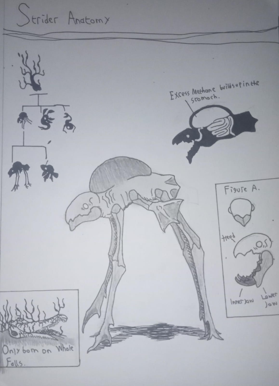 Vita Carnis | Strider (Formidulosus carnis) by NPCArte on DeviantArt Vita Carnis | Strider (Formidulosus carnis) by NPCArte on DeviantArt
