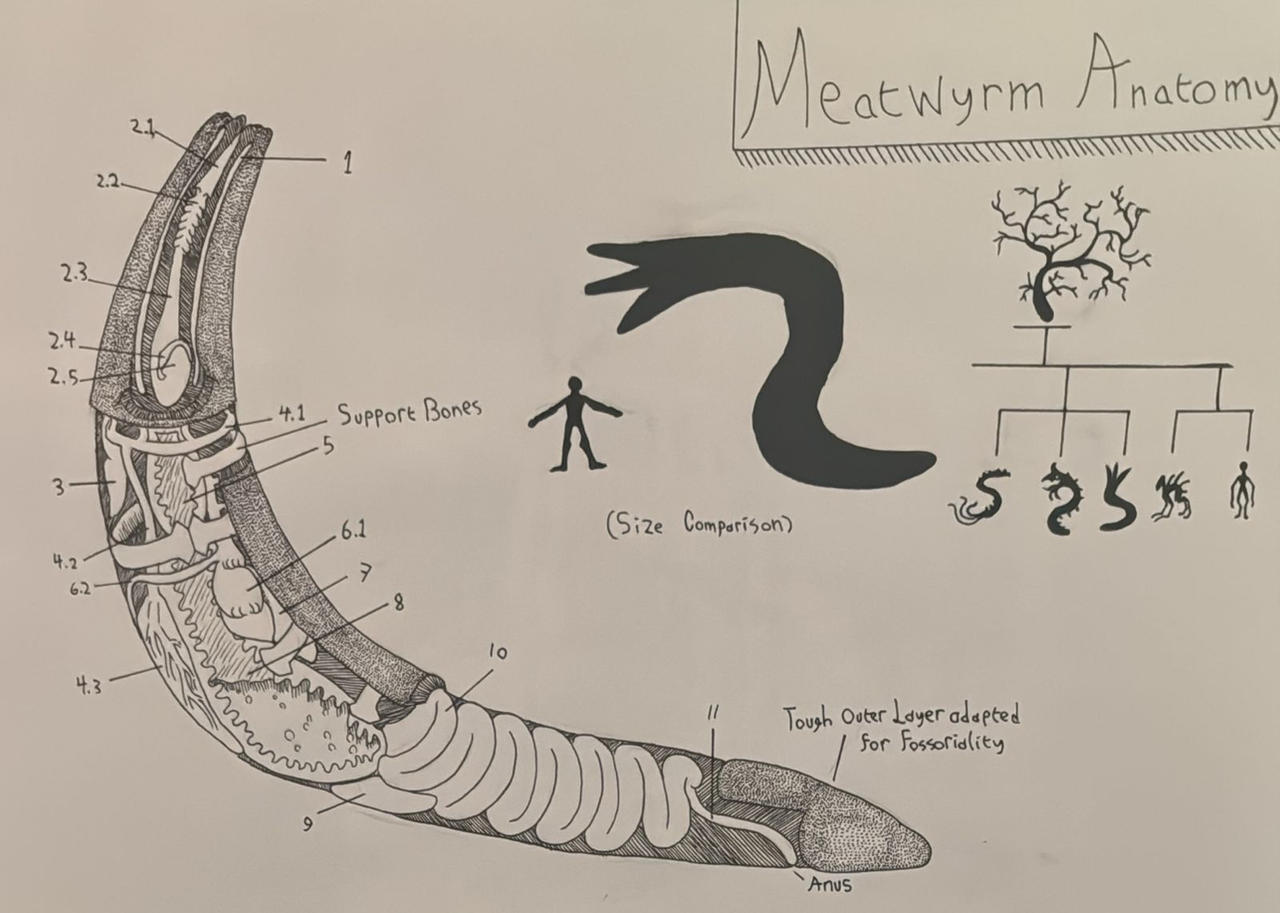 Vita Carnis | Meatwyrm Redesign by NPCArte on DeviantArt Vita Carnis | Meatwyrm Redesign by NPCArte on DeviantArt