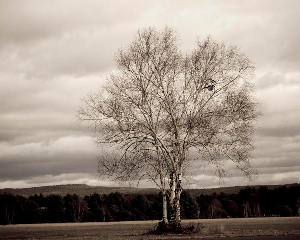 untie my soul by sjizzy on DeviantArt