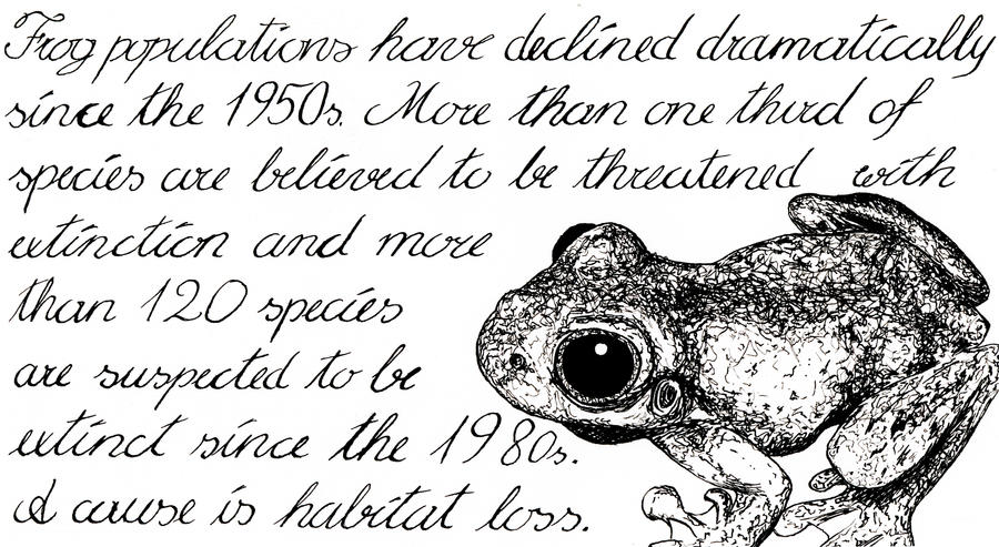 Frog populations have declined by Claw-Ravenscroft on DeviantArt