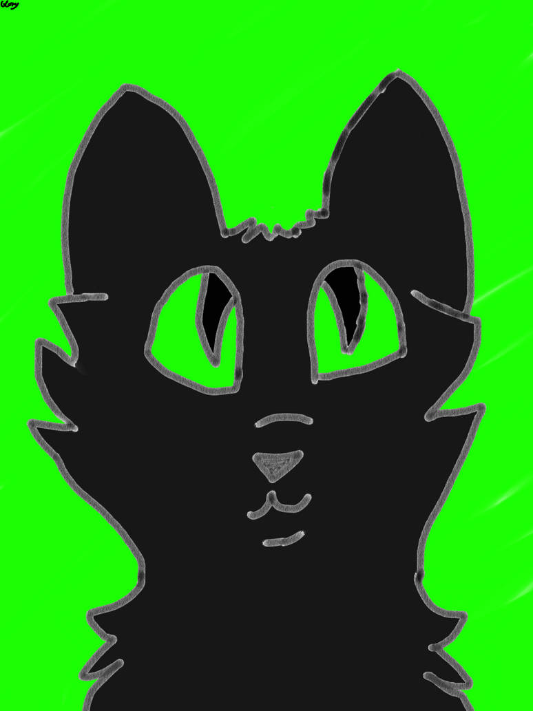 Horrible Cat Drawing by XxaphmaufanxX on DeviantArt Horrible Cat Drawing by XxaphmaufanxX on DeviantArt