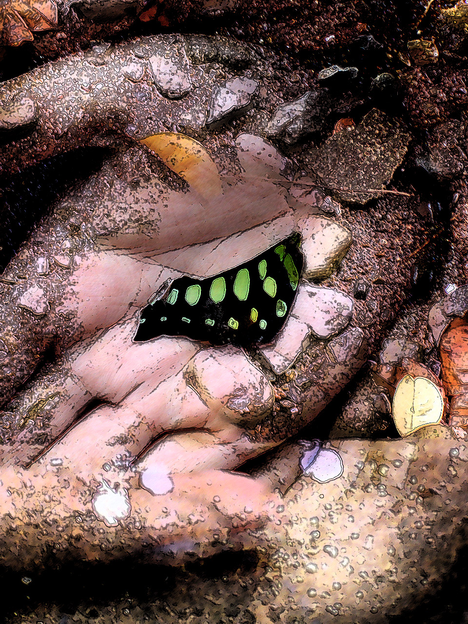 The Butterfly Code by carrykoto on DeviantArt