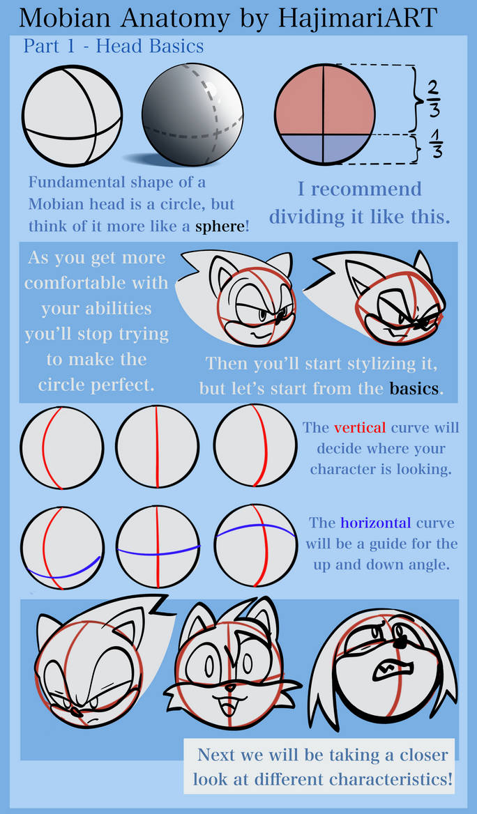 Mobian Anatomy Part 1 - Head Basics by HajimariART on DeviantArt Mobian Anatomy Part 1 - Head Basics by HajimariART on DeviantArt