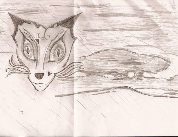 Wherecat? by Valethia on DeviantArt