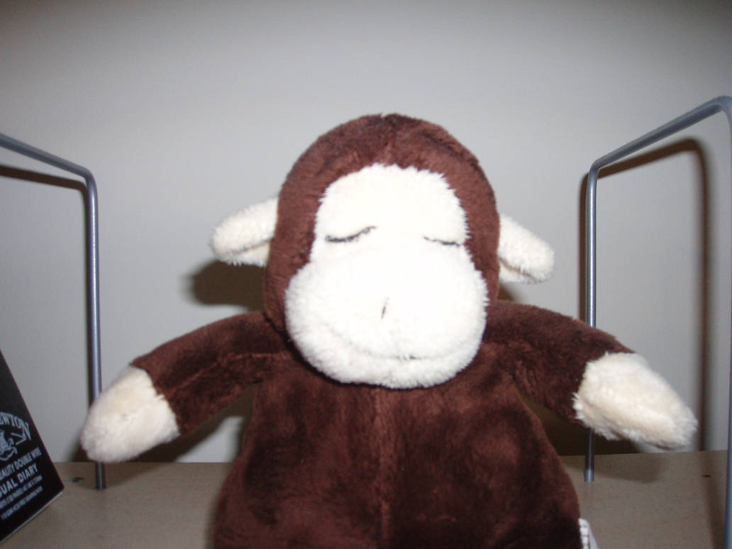 Munky By Prothoss On Deviantart