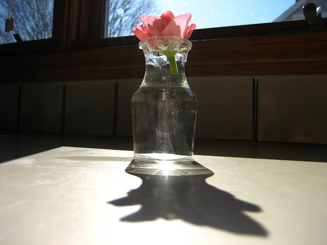 caseyface - Photographer | DeviantArt