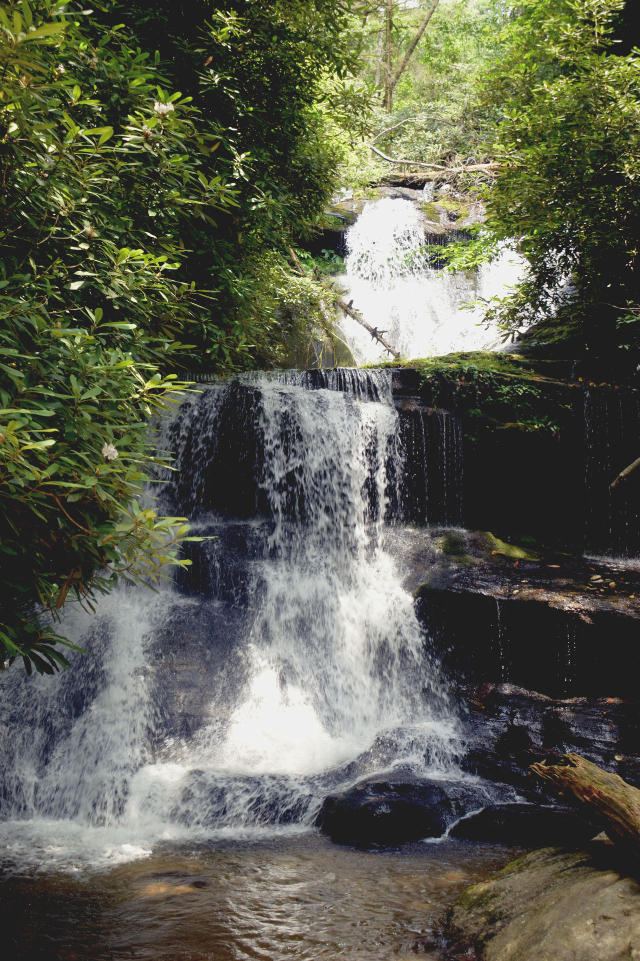 Don't Go Chasing Waterfalls by Doctorwhogirl1988 on DeviantArt Don't Go Chasing Waterfalls by Doctorwhogirl1988 on DeviantArt