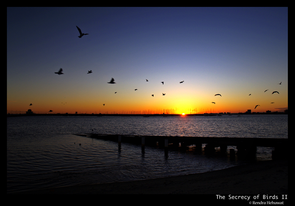 The Secrecy of Birds 2 by rendra-hehuwat on DeviantArt